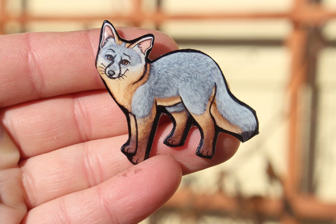 Island Fox Magnet: Gift for Wildlife Lovers, Vet Techs, Veterinarians ...