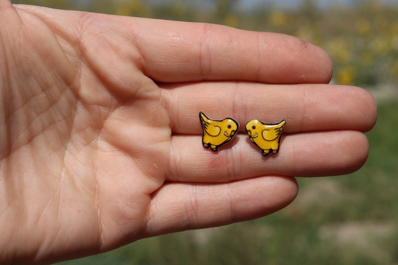 Parakeet Budgie Stud Earrings: Gift for Bird Lovers, Teacher, Vet Tech ...