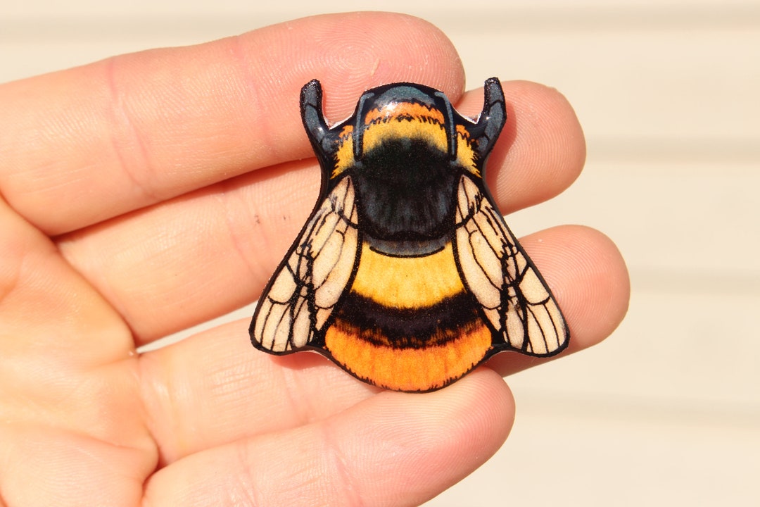 Bumblebee Magnet: Gift for Bug Lovers, Vet Techs, Veterinarians ...