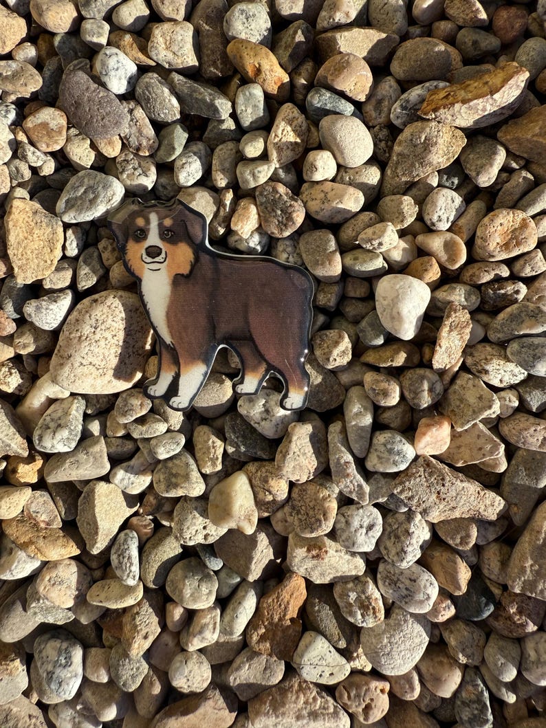 Australian Aussie Shepherd Magnet: Gift for Dog Animal Lovers, Vet ...