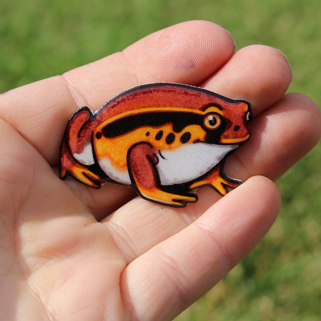 Tomato Frog Magnet Gift for Frog Lovers or Frog Loss Memorial Cute ...