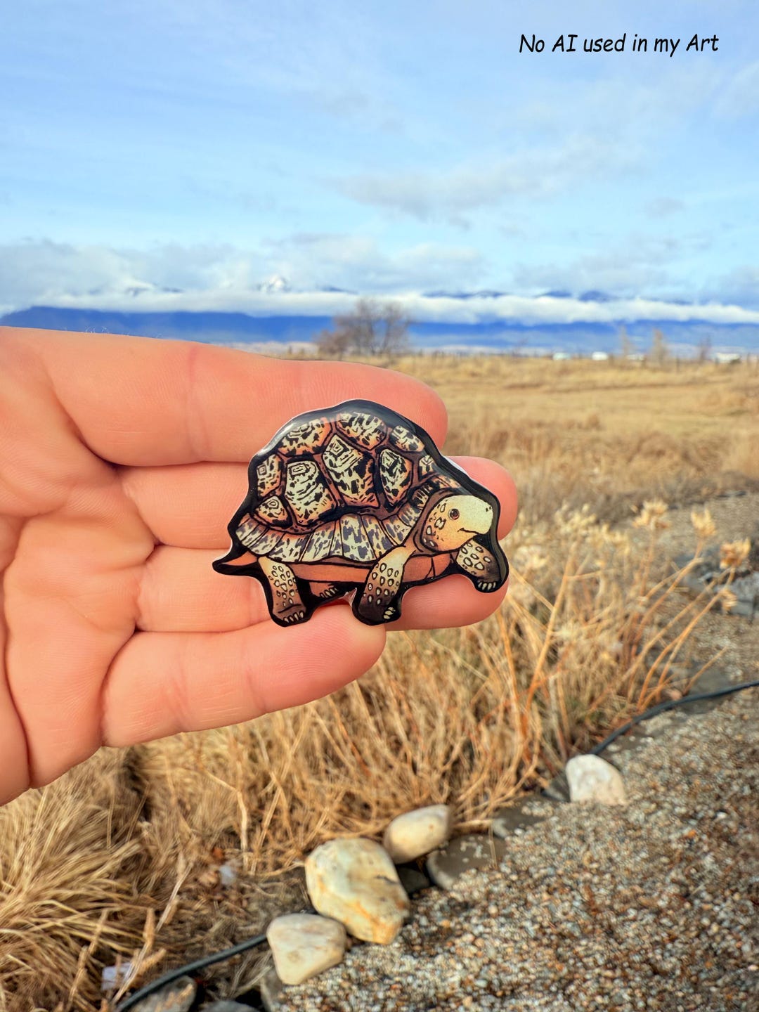 Leopard Tortoise Magnet: Gift for Turtle Lover, Vet Tech, Zookeeper ...