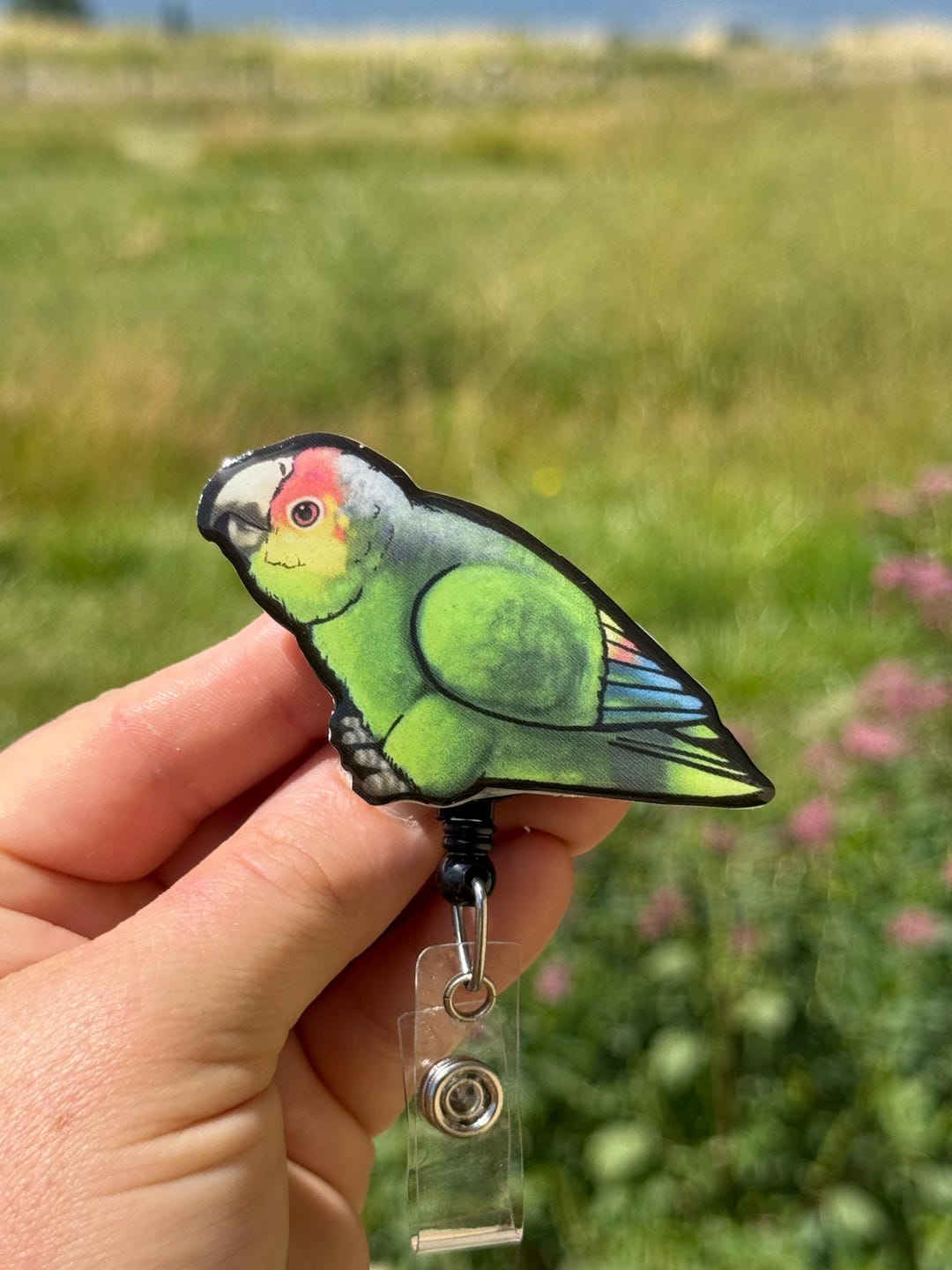 Amazon Parrot Badge Reel ID Holder: Gift for Nurses, Red Lore Bird ...