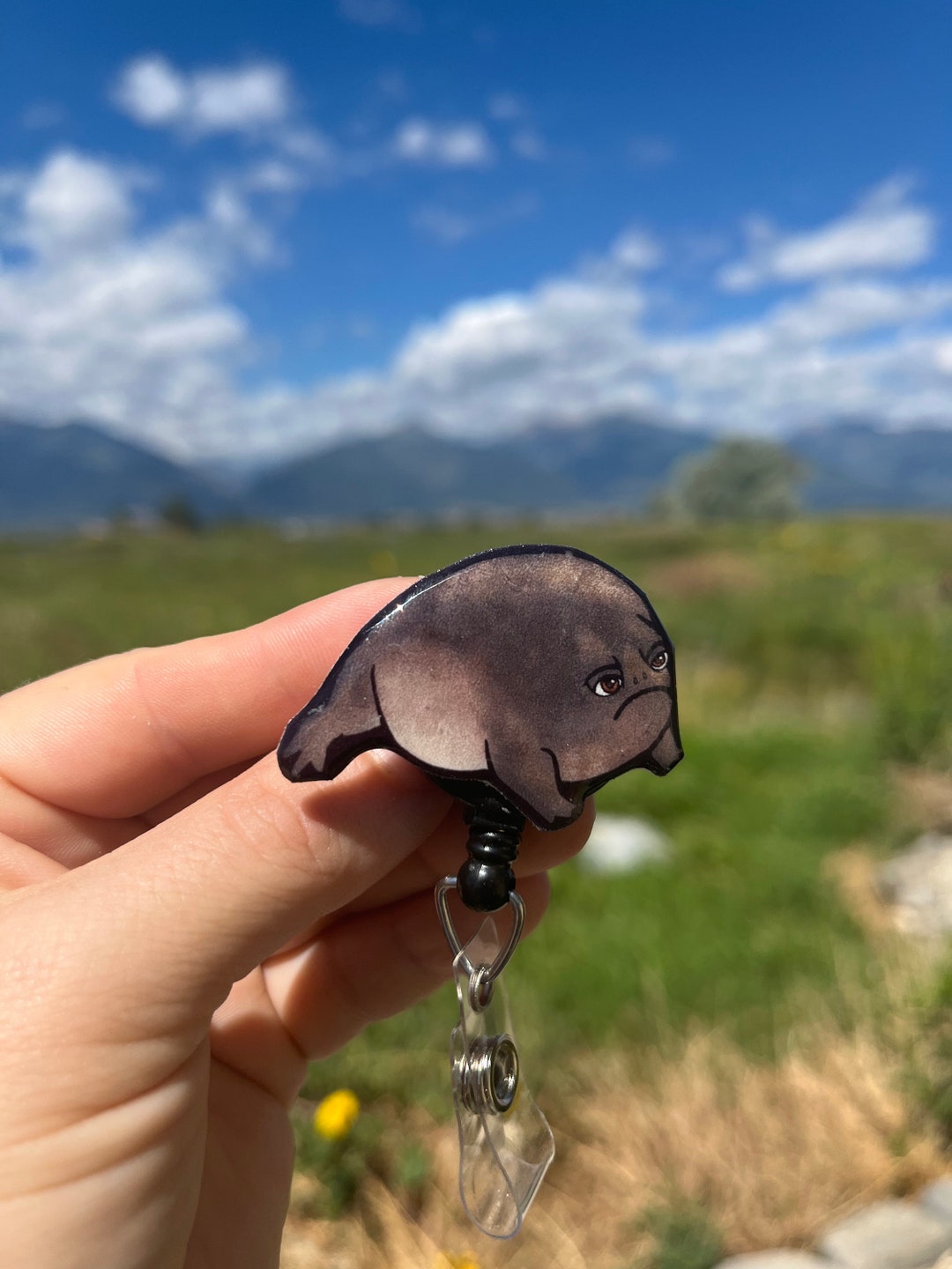 Rain Frog Badge Reel ID Holder: Retractable Gift for Frog Lovers ...