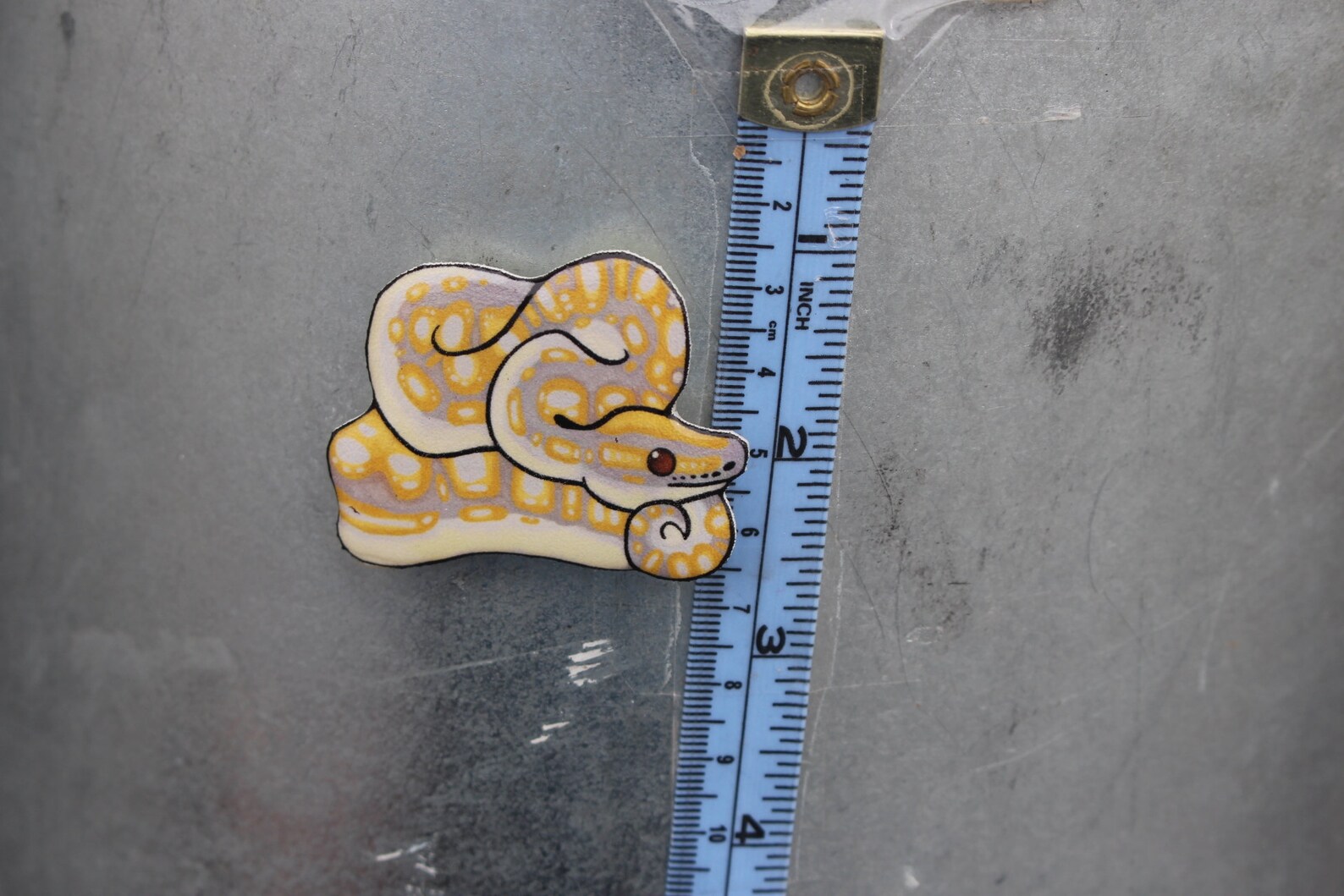 Ball Python Magnet Gift for Snake Lover or Albino Ball Python - Etsy