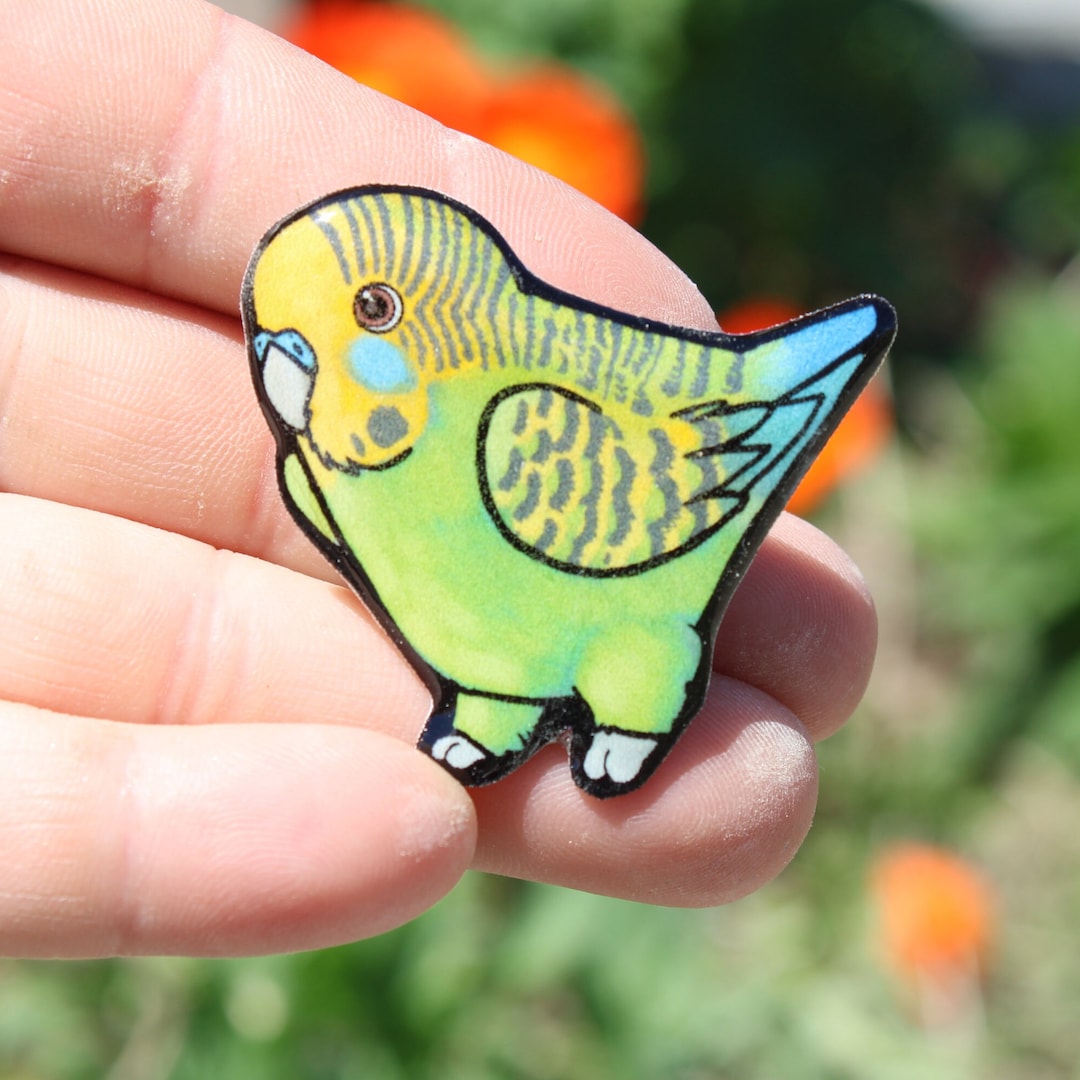 Parakeet Budgie Magnet: Gift for Bird Lovers, Teacher, Vet Tech ...