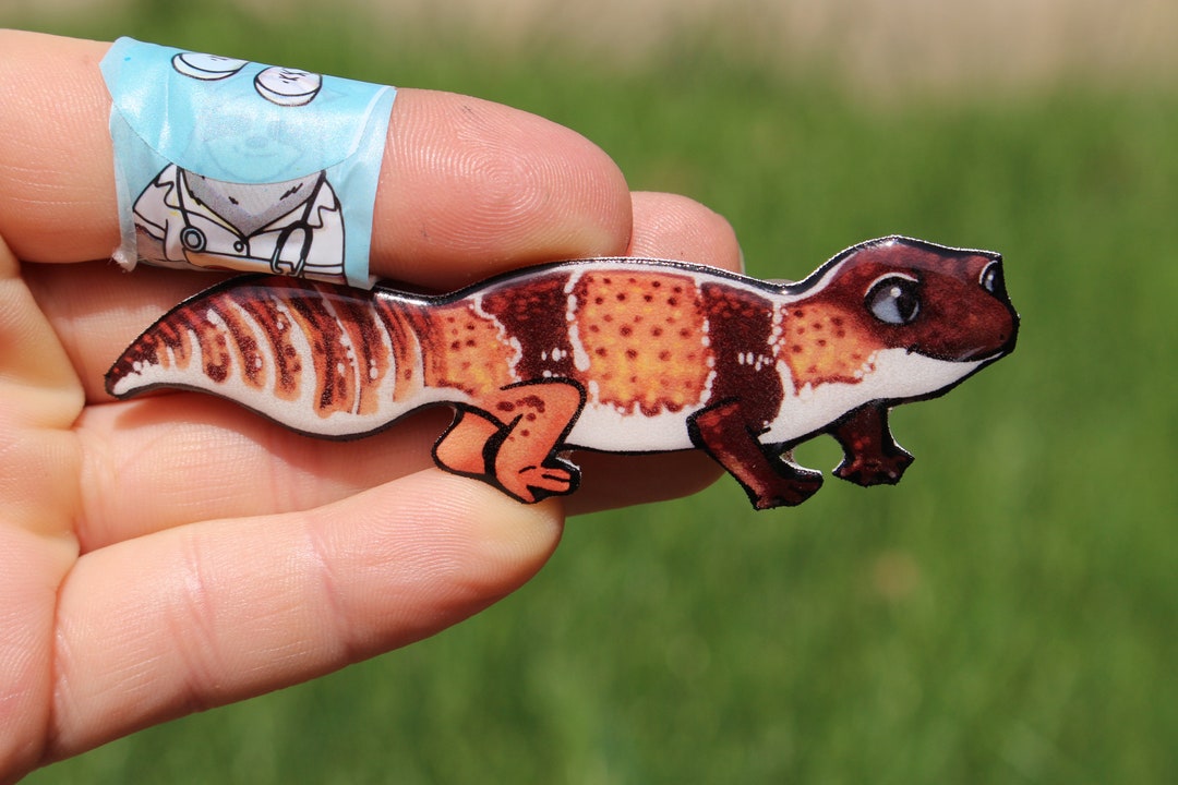 African Fat Tailed Gecko Magnet: Gift for Gecko Lizard Lovers or Gecko ...