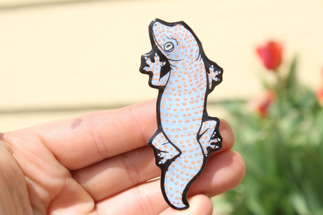 Tokay Gecko Magnet Gift for Lizard Lovers, Vet Techs, Veterinarians ...