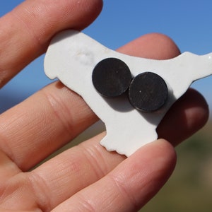 Quaker Parrot Magnet Gift for Parrot Lovers,zookeepers, Vet Techs ...