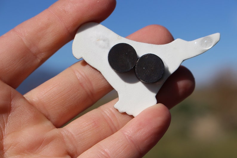 Quaker Parrot Magnet Gift for Parrot Loverszookeepers Vet - Etsy