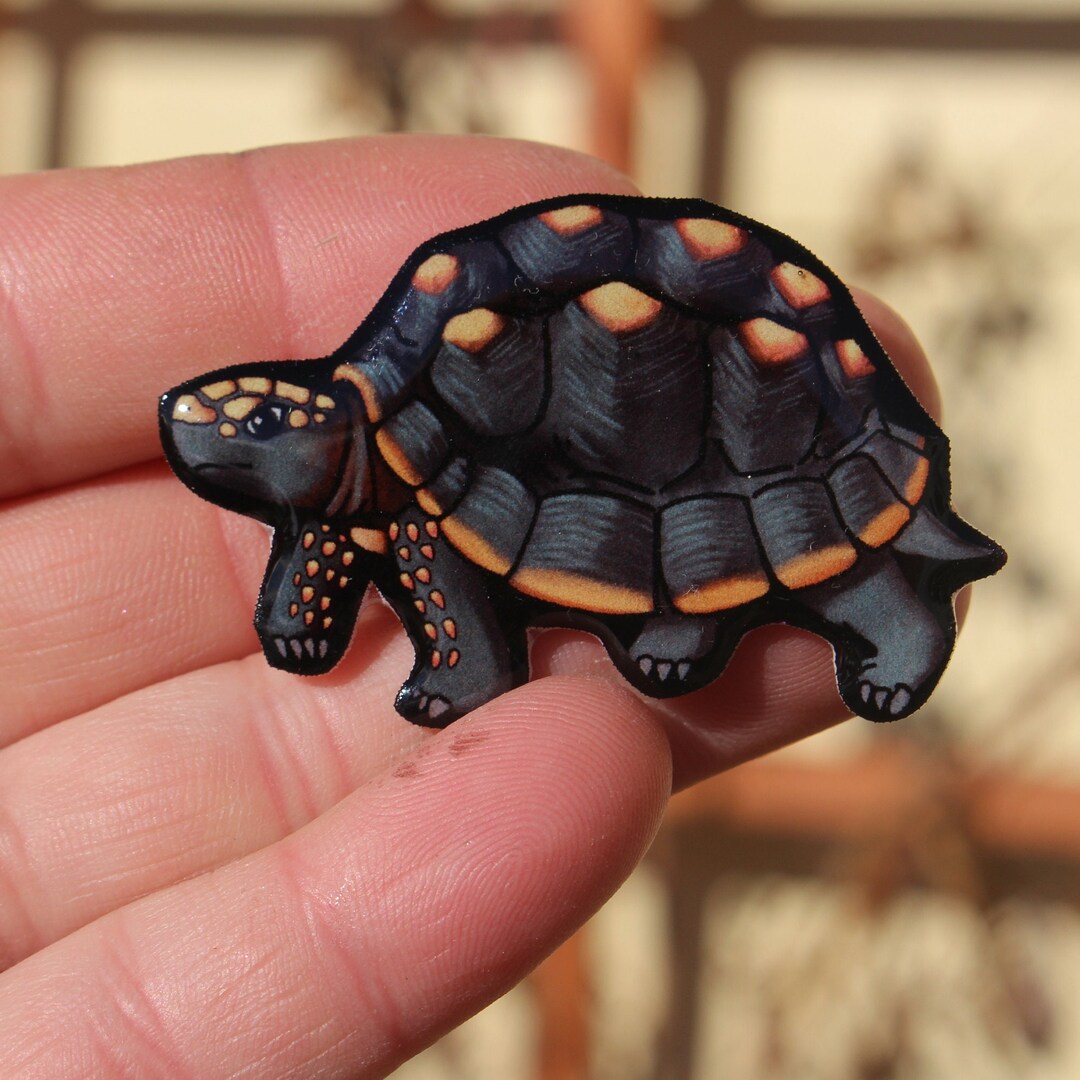 Cherry Footed Tortoise Magnet: Gift for Turtle Lovers, Vet Techs ...