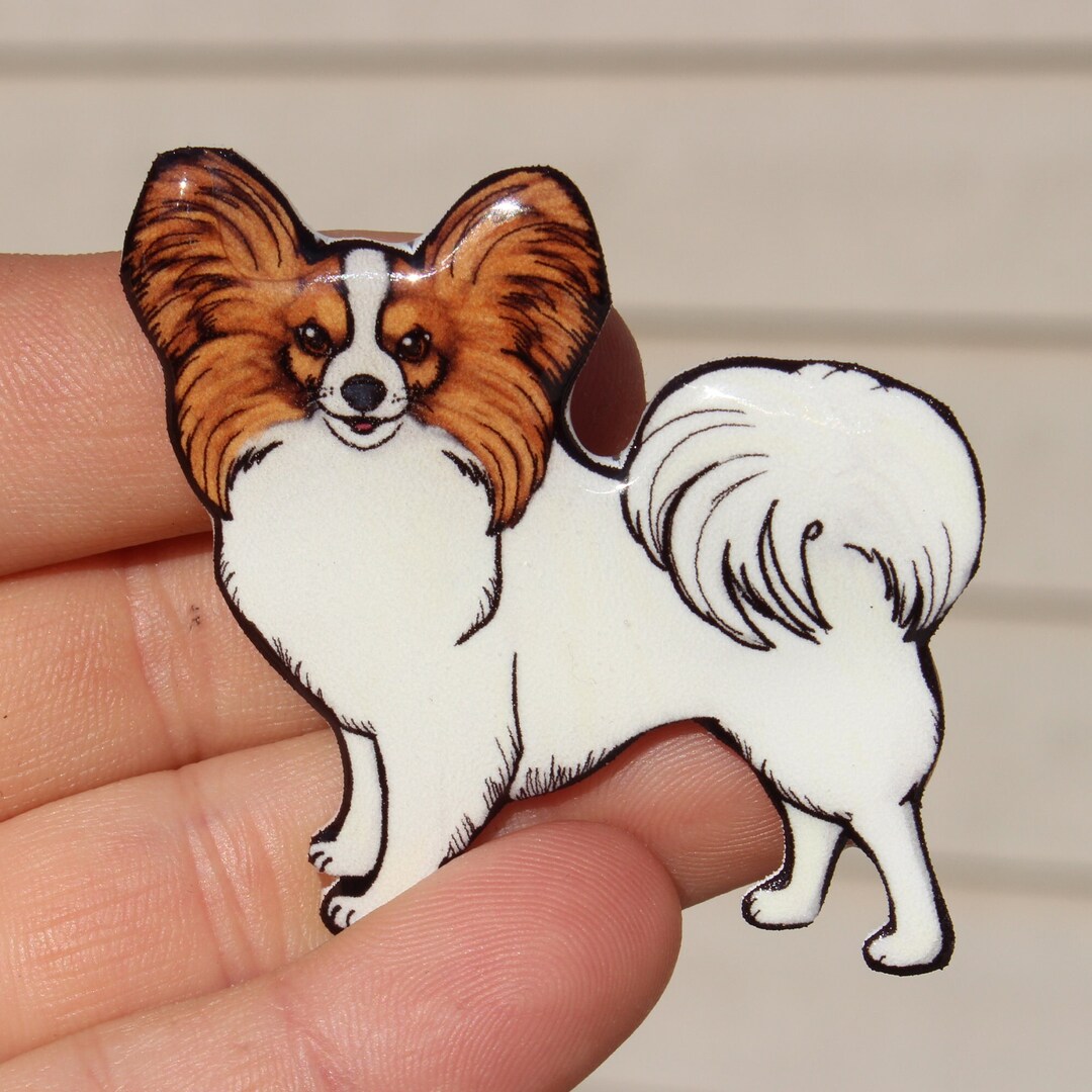 Papillon Magnet: Great Gift for Papillon Dog Lovers or Papillon Loss ...