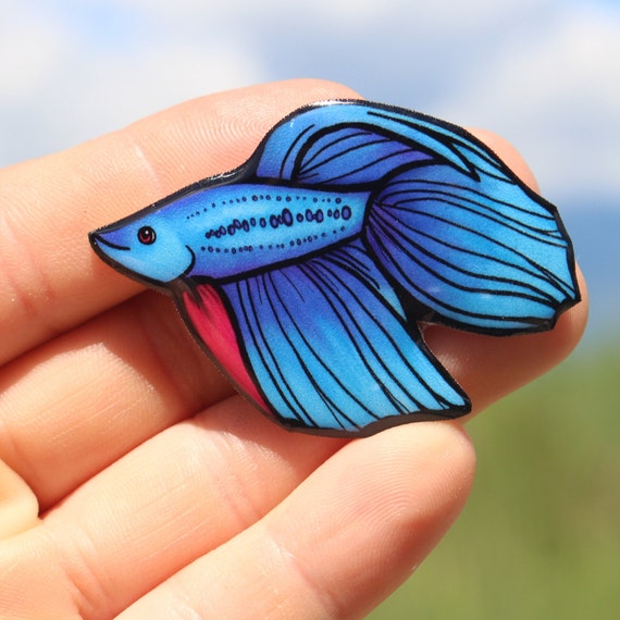 Fridge betta store