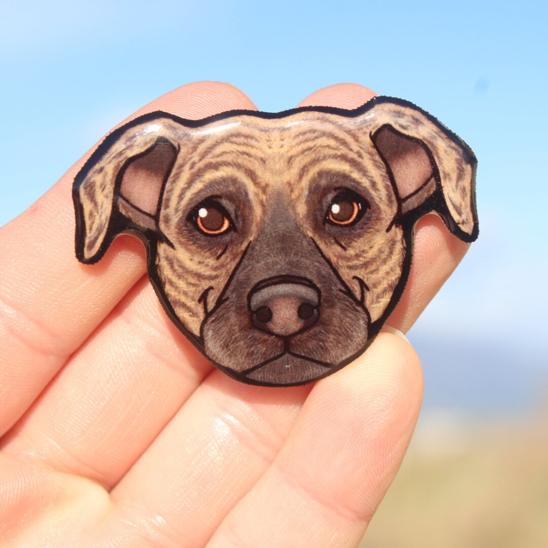 Pitbull Magnet: Gift for Pit Bull Lovers, Teachers, Vet Techs ...