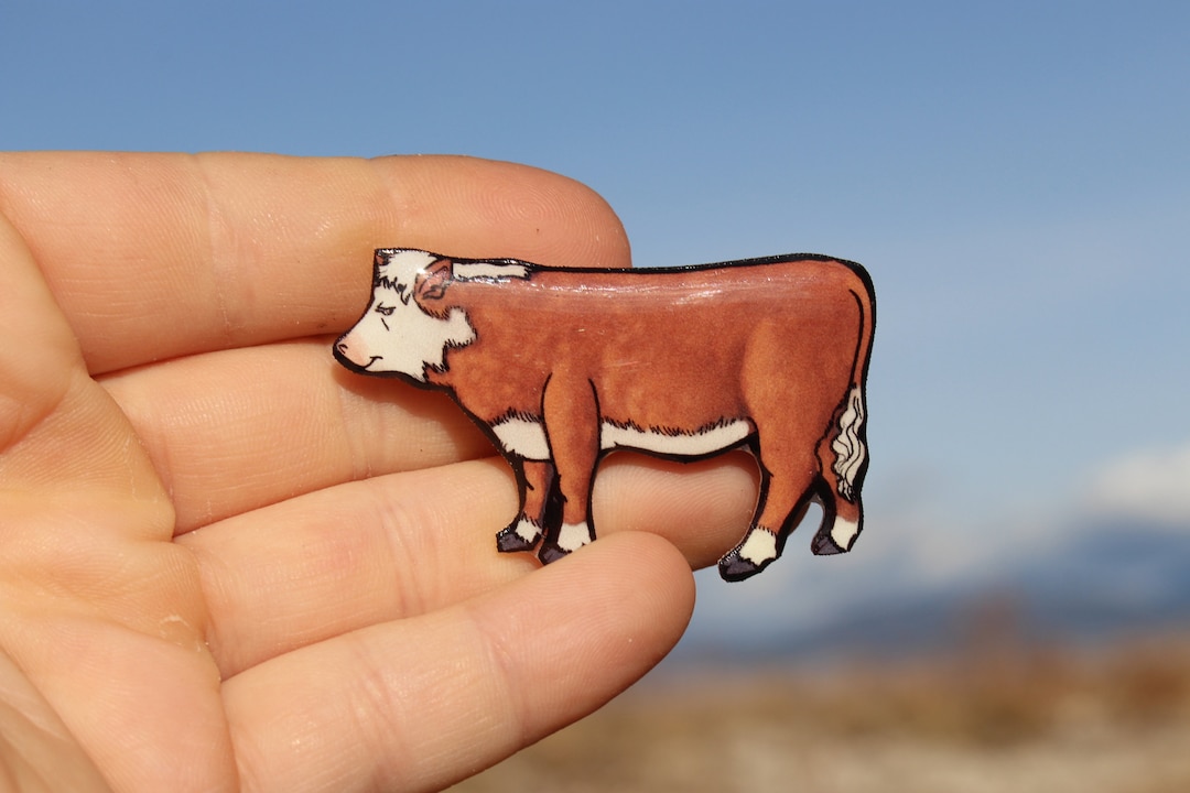 Hereford Cow Magnet: Gift for Cow Lover, Teachers, Vet Techs ...