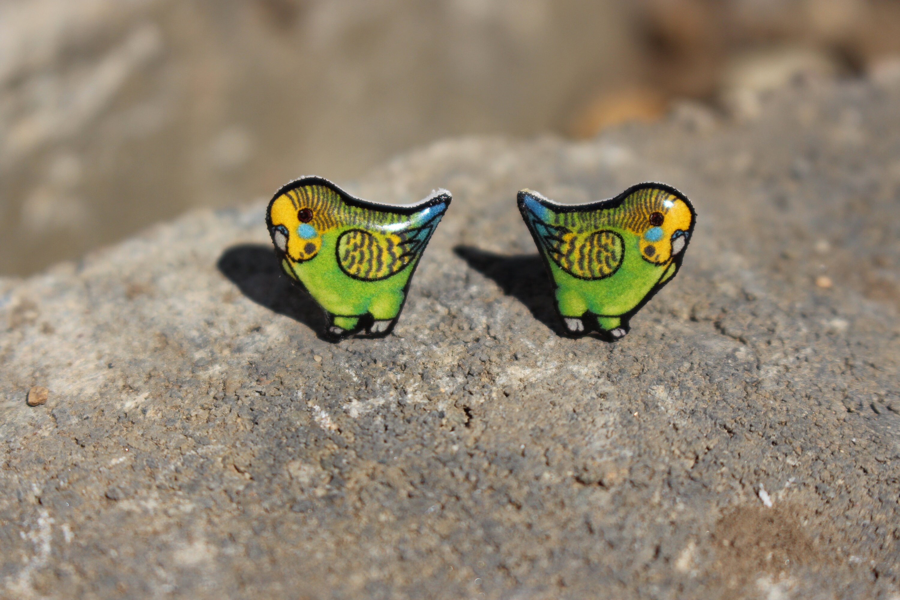 Parakeet Budgie Stud Earrings: Gift for Bird Lovers Teacher - Etsy