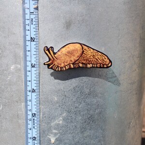 Common Slug Magnet: Gift for Gardener's, Bug Lovers, Vet Techs ...