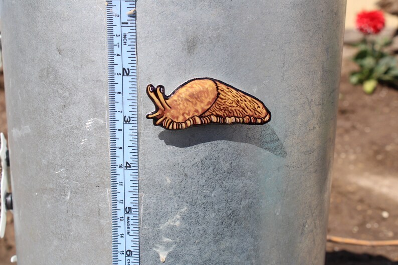 Common Slug Magnet: Gift for Gardener's, Bug Lovers, Vet Techs ...