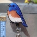 Bluebird Badge Reel Id Holder: Gift for Blue Bird Lovers Song Bird ...