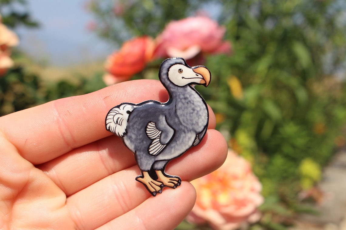 Dodo Magnet: Gift for Dodo lovers vet techs teachers | Etsy