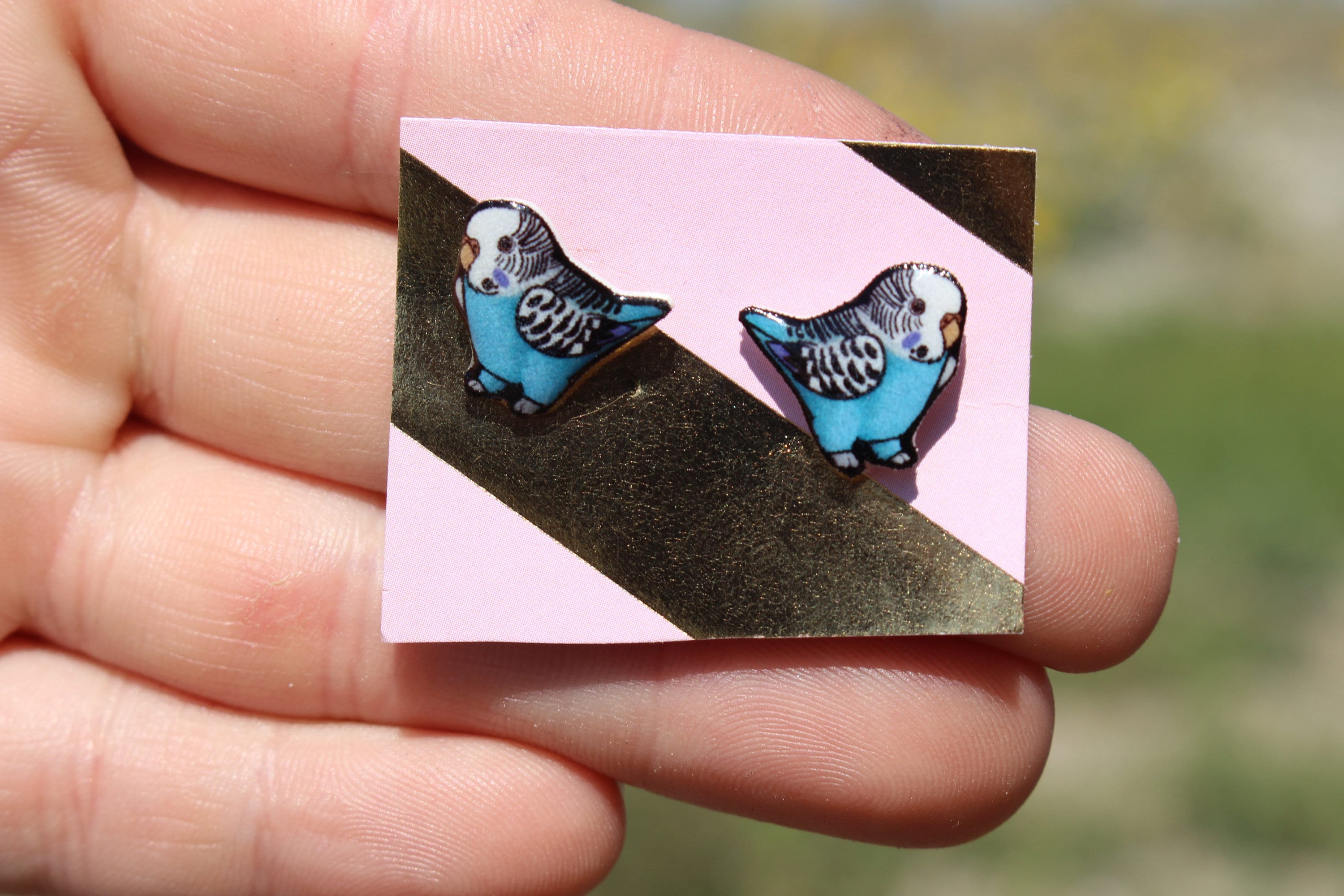 Parakeet Budgie Stud Earrings: Gift for Bird Lovers Teacher | Etsy