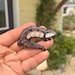 Ball Python Magnet Gift for Snake Lover, Vet Tech, Veterinarian ...