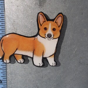 Corgi Magnet : Gift for Corgi Lovers, Teachers, Vet Techs Corgi Loss ...