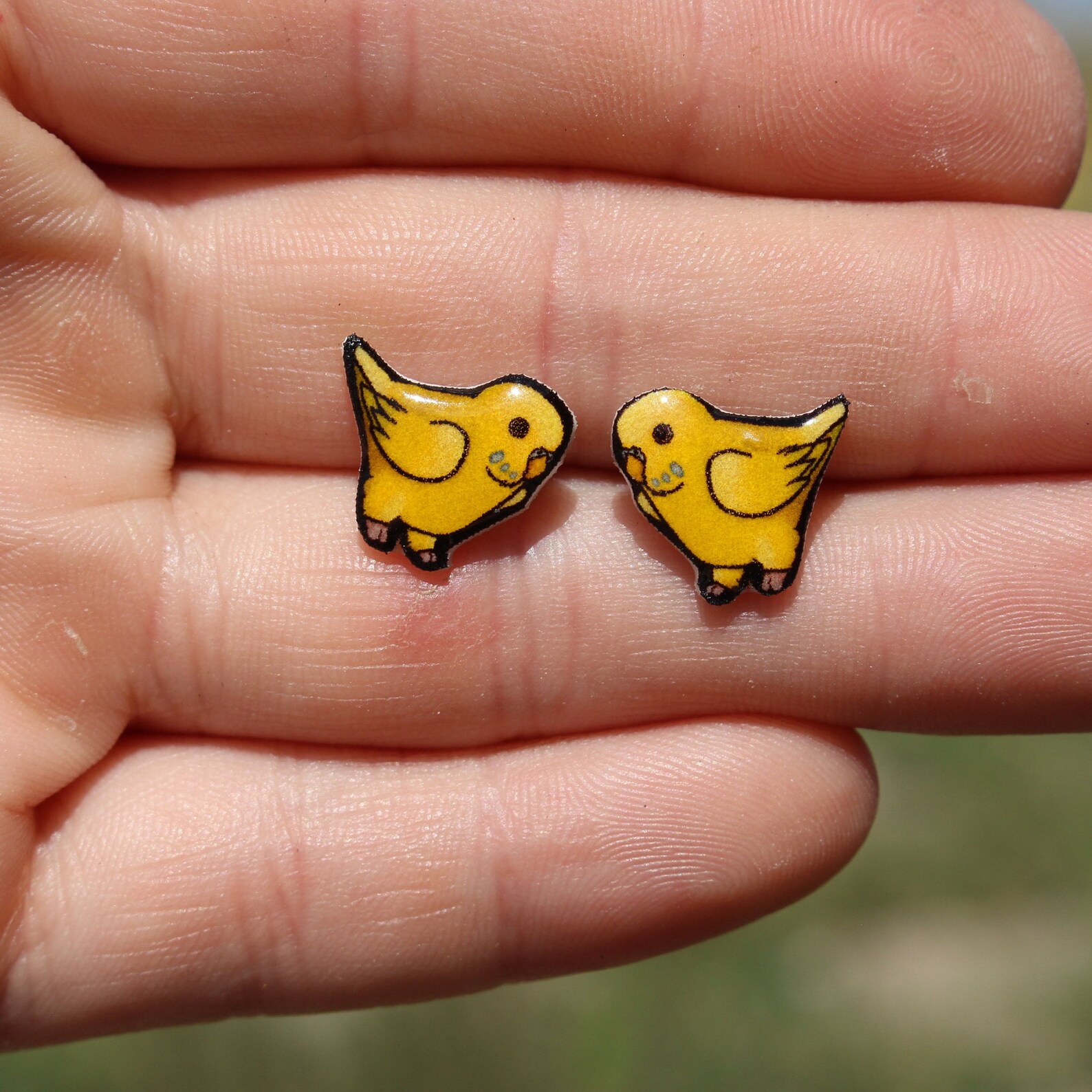 Parakeet Budgie Stud Earrings: Gift for Bird Lovers, Teacher, Vet Tech ...