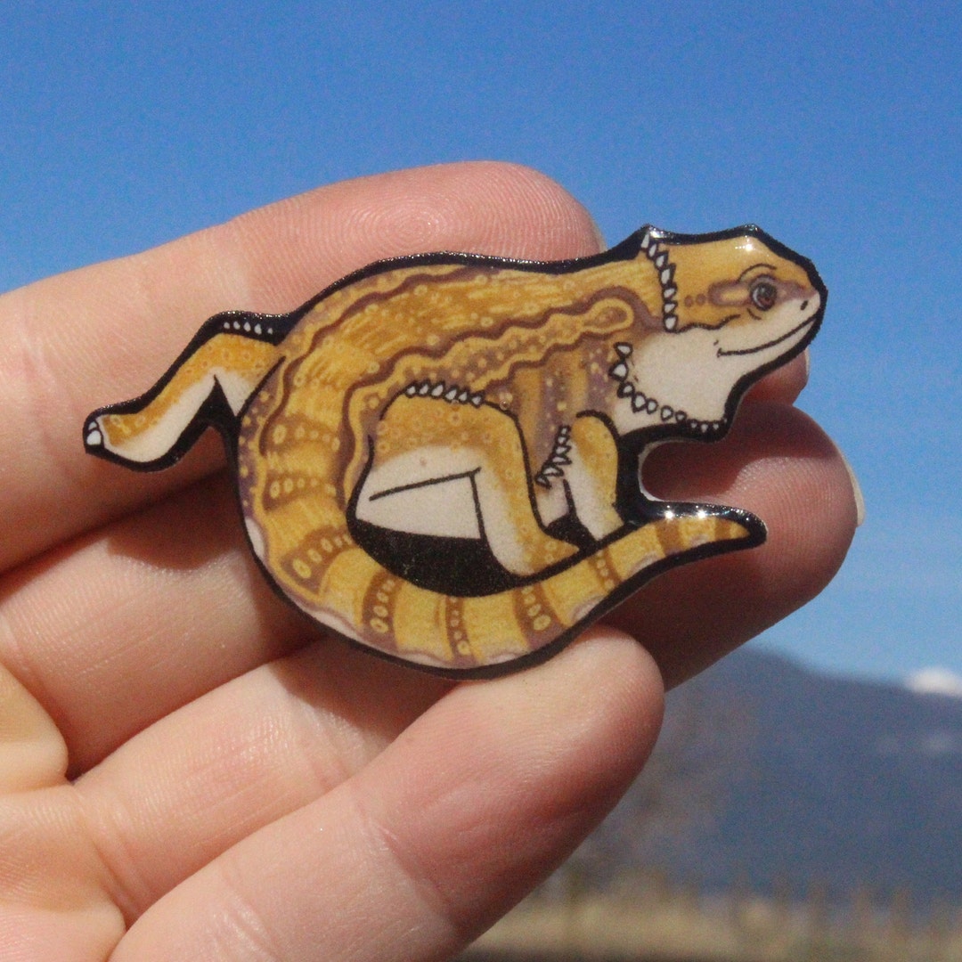Bearded Dragon Magnet: Gift for Lizard Lover, Vet Tech, Veterinarian ...