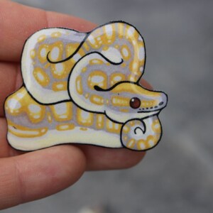 Ball Python Magnet Gift for Snake Lover or Albino Ball Python Loss ...