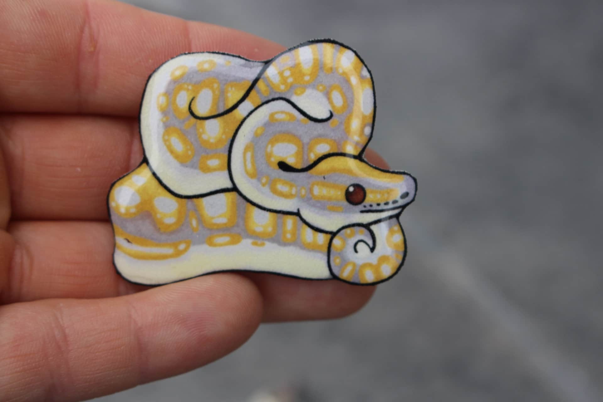 Ball Python Magnet Gift for Snake Lover or Albino Ball Python - Etsy