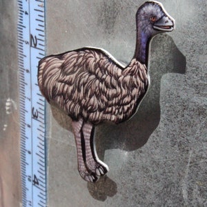 Emu Magnet: Gift for Bird Lovers, Vet Techs, Veterinarians, Zookeepers ...