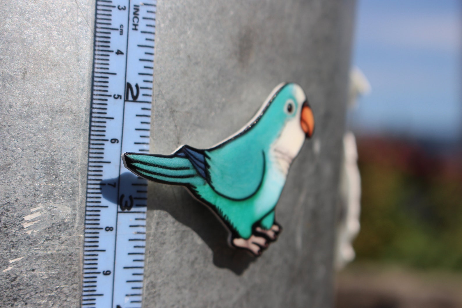 Quaker Parrot Magnet Gift for Parrot Loverszookeepers Vet - Etsy