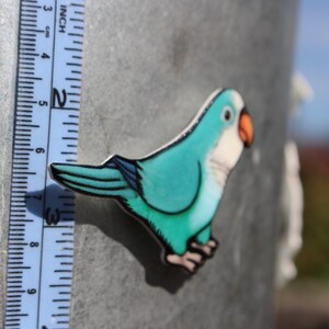 Quaker Parrot Magnet Gift for Parrot Lovers,zookeepers, Vet Techs ...