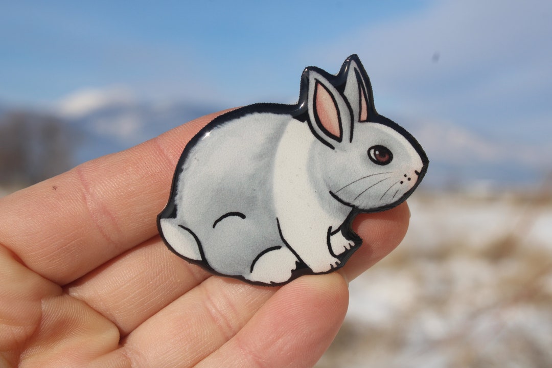 Dutch Bunny Rabbit Magnet: Gift for Rabbit Lover, Vet Techs ...