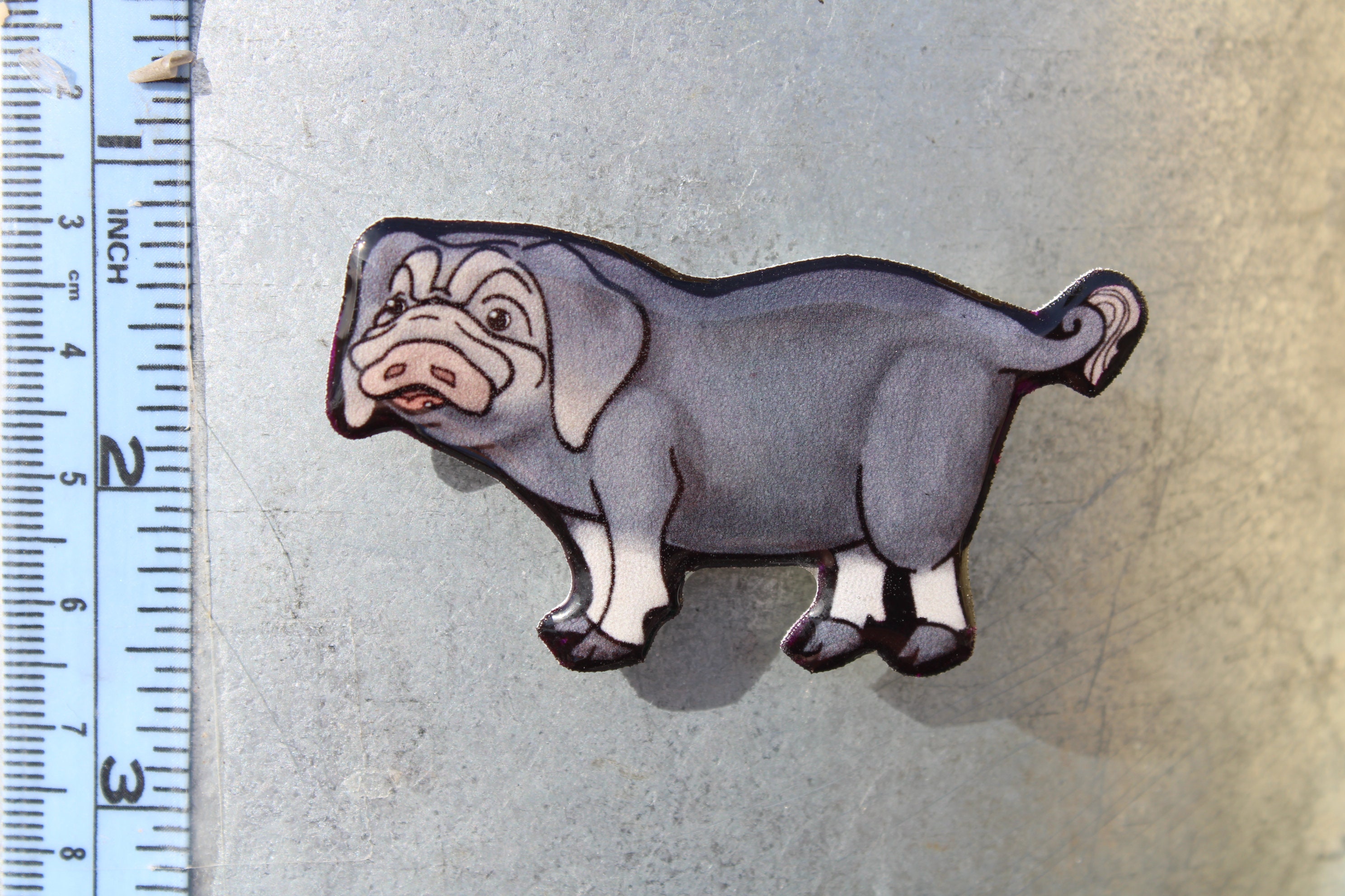 Pig Magnet: Gift for Pig Lovers Vet Techs Veterinarians - Etsy Singapore