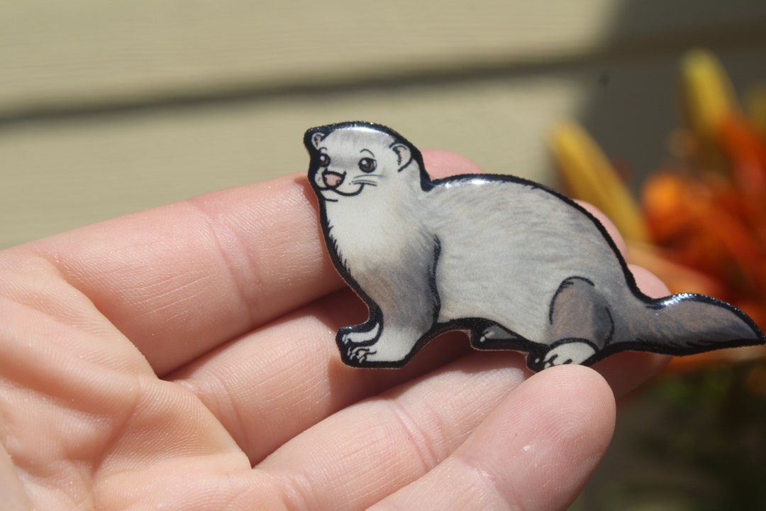 Ferret Magnet 7: Gift for Ferret Lovers Vet Techs - Etsy