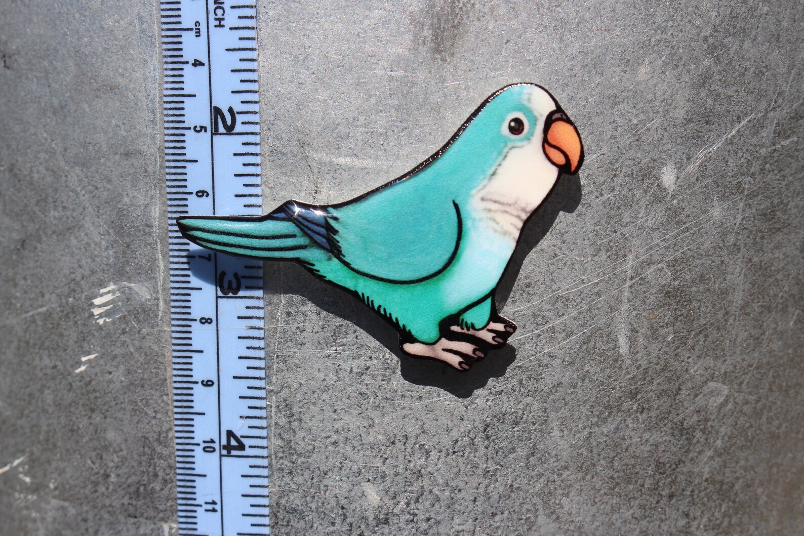 Quaker Parrot Magnet Gift for Parrot Loverszookeepers Vet | Etsy