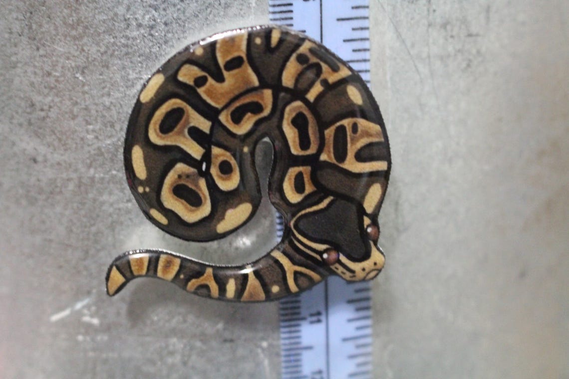 Ball Python Magnet Gift for snake lover or python loss | Etsy