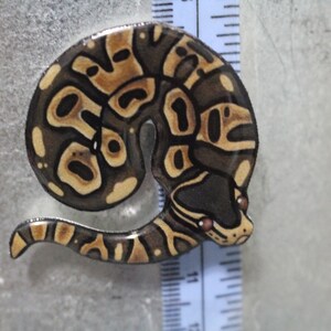 Ball Python Magnet Gift for snake lover or python loss | Etsy