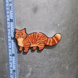 Tabby Cat Magnet: Gift for Cat Lovers, Vet Techs, Veterinarians ...