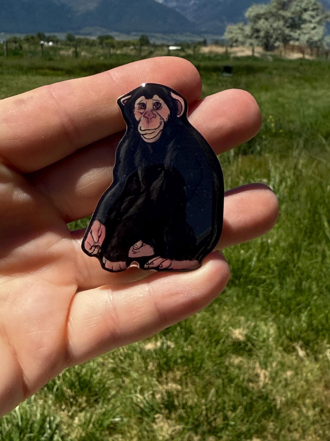 Chimpanzee Ape Monkey Magnet: Gift for Animal Lovers, Vet Tech ...