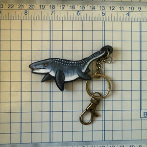 Wood Mosasaurus Dinosaur Keychain: Gift for Dino Lovers, Vet Techs ...