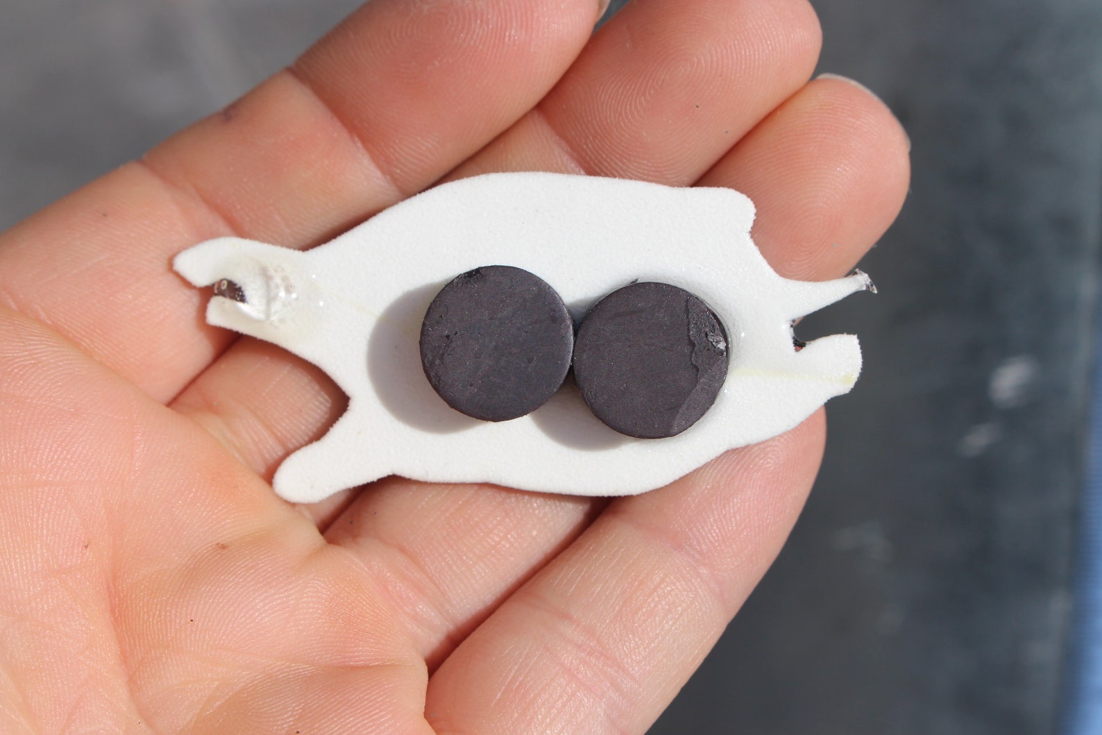 Turtle Magnet Gift for Soft Shelled Turtle Lovers or Turtle - Etsy