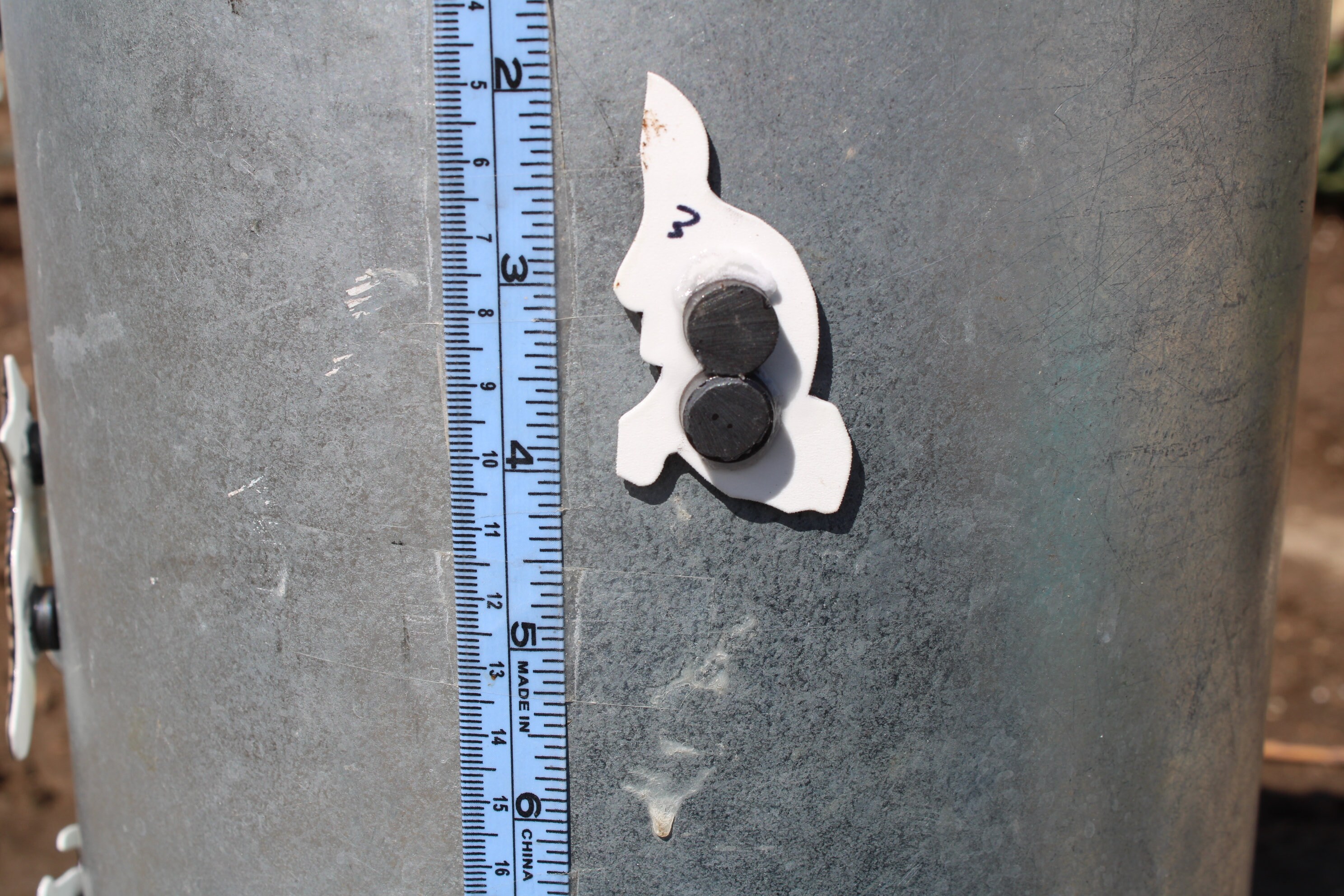 Ferret Magnet 3: Gift for ferret lover vet techs | Etsy