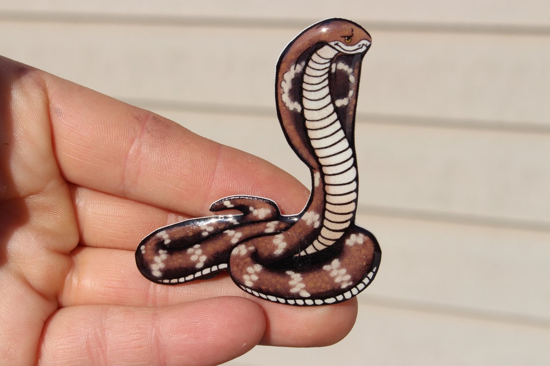 Cobra Magnet: Gift for Snake Lovers Cute Snake Art Animal Magnets for ...