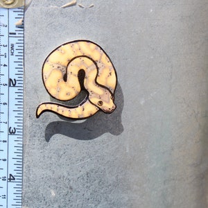 Banana Ball Python Magnet : Gift for Snake Lover, Vet Tech ...