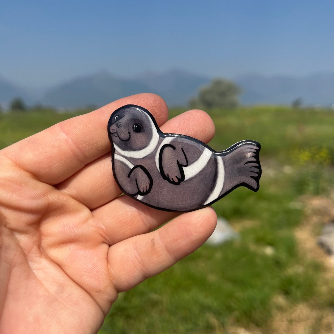 Ribbon Seal Magnet: Gift for Ocean Animal Lovers, Vet Techs, Zookeepers ...