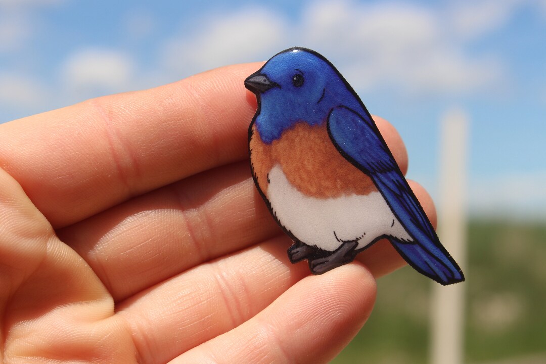 Bluebird Magnet: Gift for Song Bird Lovers, Vet Techs, Veterinarians ...