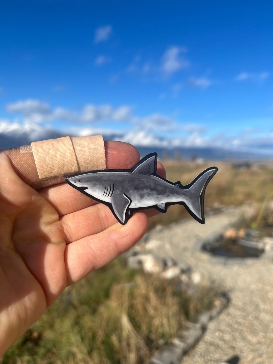 Great White Shark Magnet: Shark Lover Gift for Vet Techs, Veterinarians ...